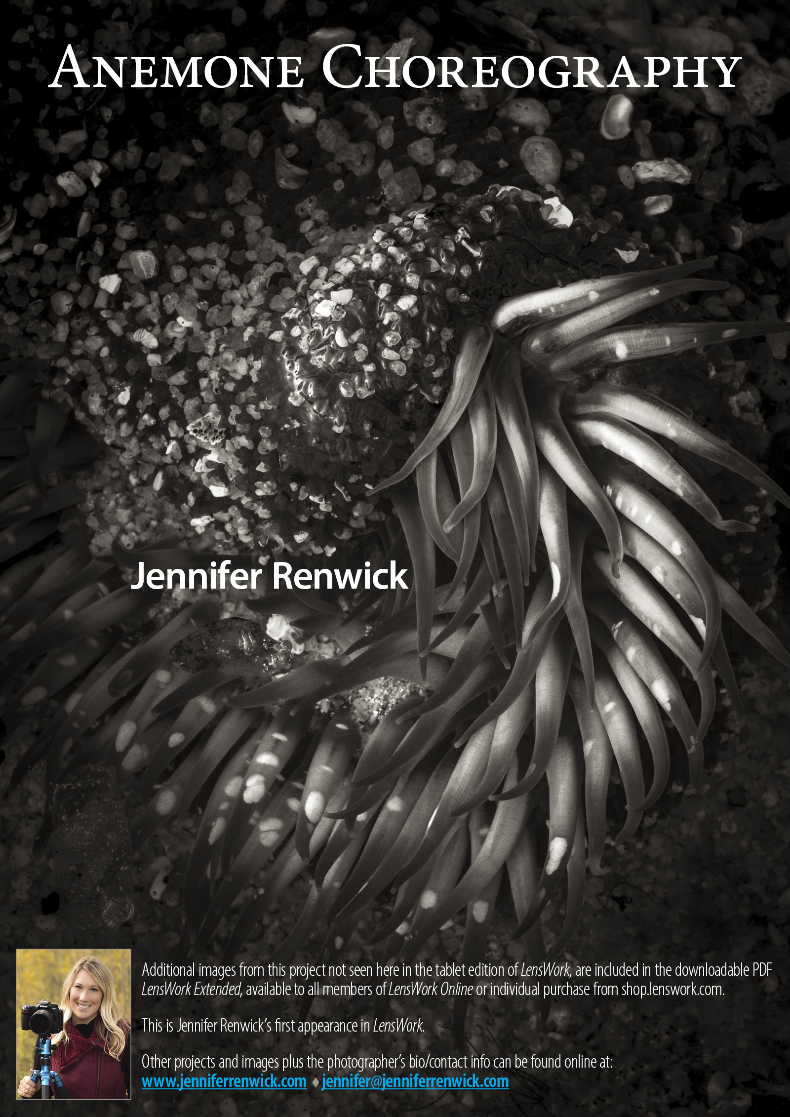 LensWork #169 Preview